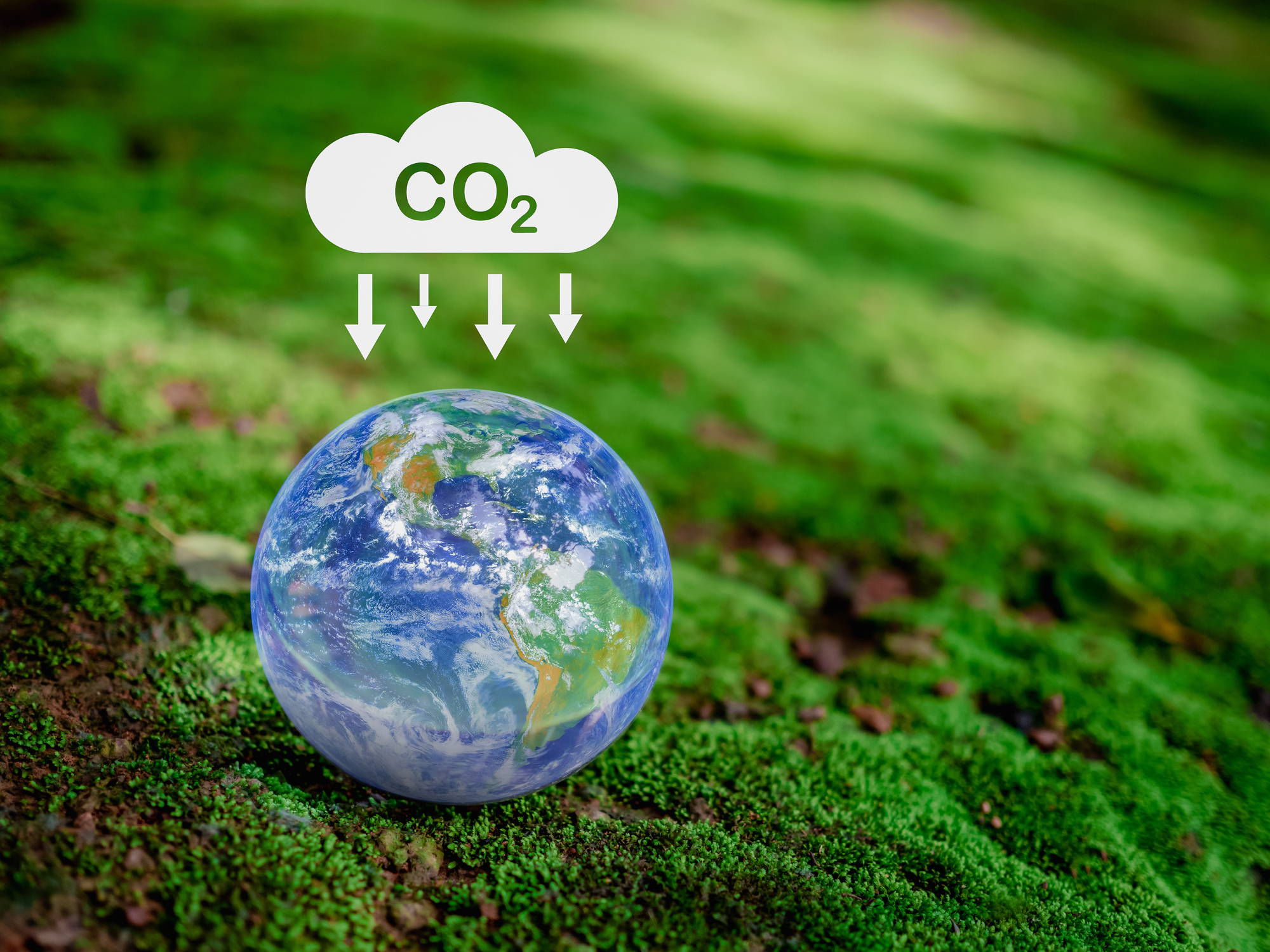 Label bas carbone : certification pour la réduction des émissions de ...